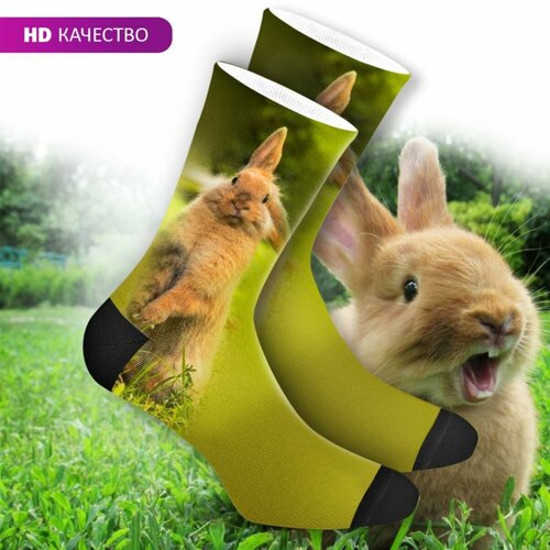 Носки MimiSocks, размер 35/37, мультиколор