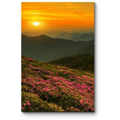 Модульная картина Волшебные розовые цветы в горах 80x120