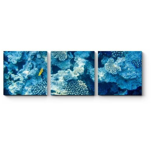Модульная картина Коралловые рифы 200x67