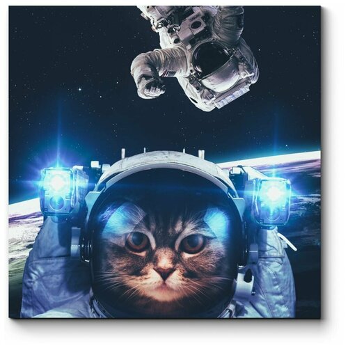 Модульная картина Кот-космонавт 110x110