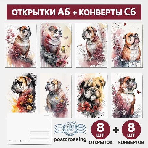 Набор почтовых открыток посткроссинг: открытки А6 - 8 шт, крафт-конверт С6 - 8 шт, postcrossing / Собака - №6 / postcard_8_postcrossing_dog_A6_set_6