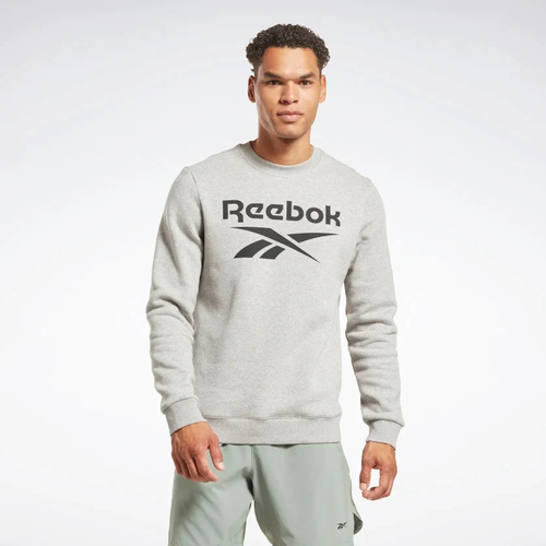 Свитшот Reebok RI FLC BIG LOGO CREW, размер M, серый