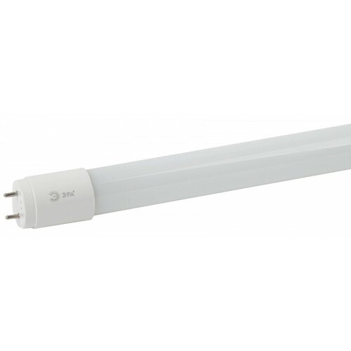 Лампочка Эра ECO LED T8-10Вт-840-4000К-G13-600