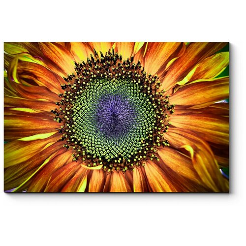 Модульная картина Внутри цветка солнца 30x20