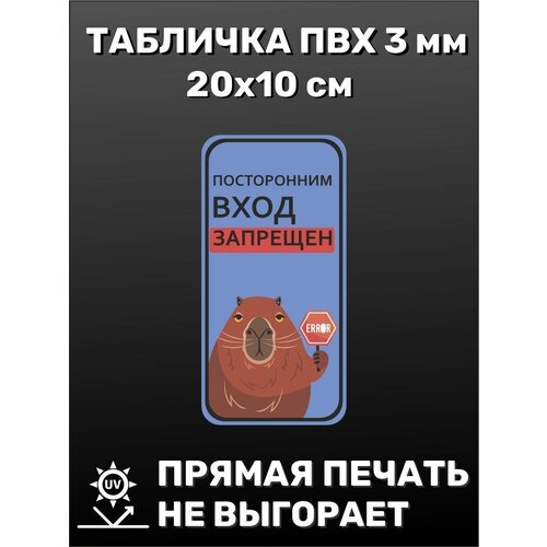 Табличка информационная прикольная Посторонним вход запрещен капибара 20х10 см