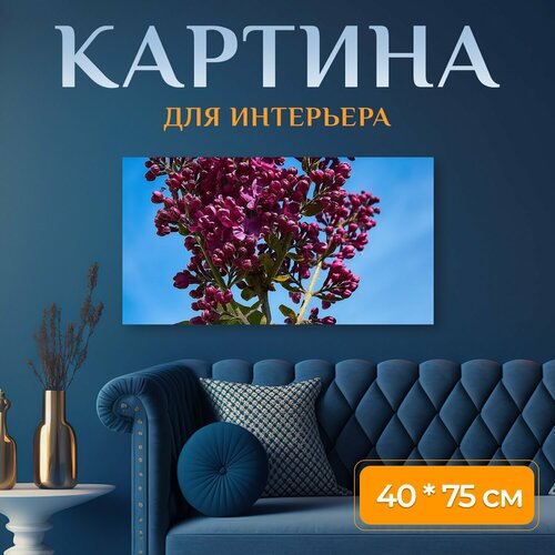 Картина на холсте "Сирень, расцветает, фиолетовый" на подрамнике 75х40 см. для интерьера