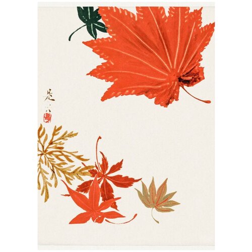 Постер / Плакат / Картина Листья - Огненные листья 40х50 см в раме