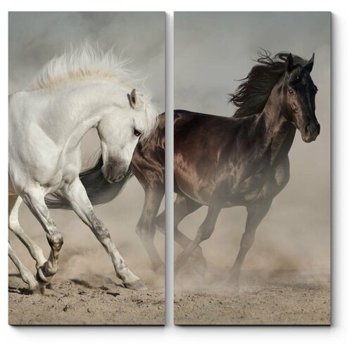 Модульная картина Красивая пара лошадей120x120