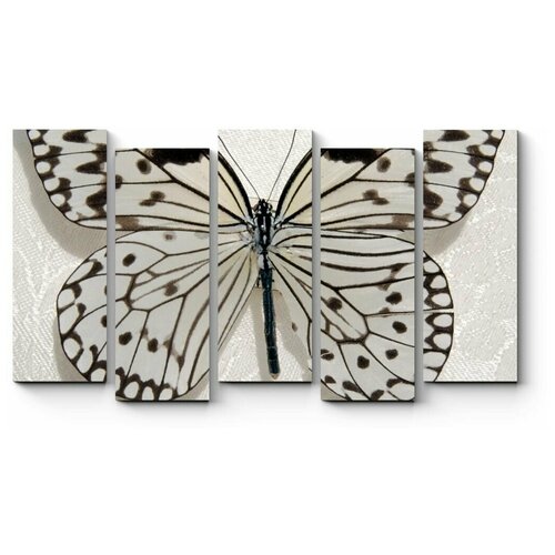 Модульная картина Черно-белая бабочка 120x69