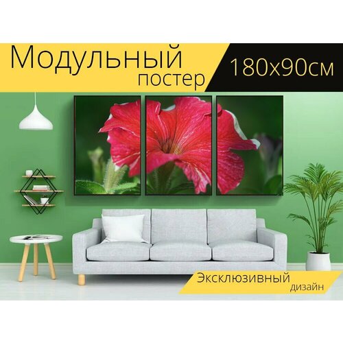 Модульный постер "Серфиния, декоративное растение, кубок" 180 x 90 см. для интерьера