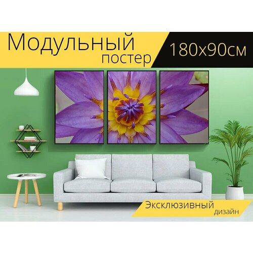 Модульный постер "Лили, цветок, нимфея тина" 180 x 90 см. для интерьера