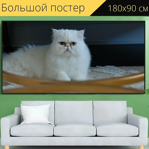 Большой постер "Персидский, кошка, котенок" 180 x 90 см. для интерьера