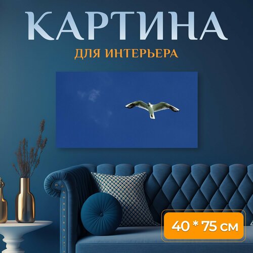 Картина на холсте "Чайка, летающий, сиберд" на подрамнике 75х40 см. для интерьера