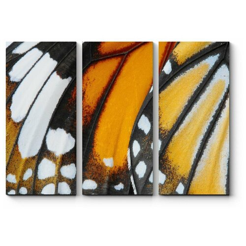 Модульная картина Крылья бабочки 80x57