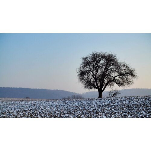 Картина на холсте 60x110 LinxOne "Природа Снег Дерево Поле" интерьерная для дома / на стену / на кухню / с подрамником