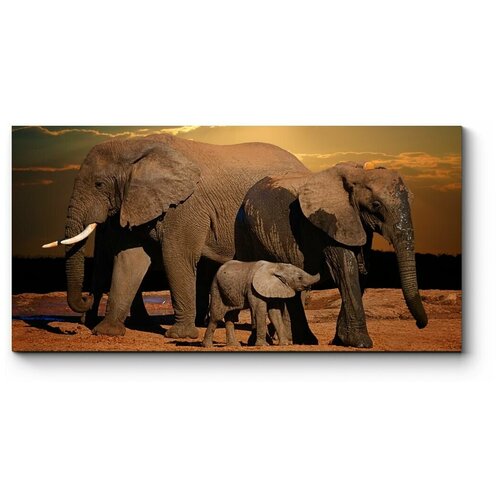 Модульная картина Семейная прогулка слонов 140x70
