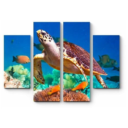 Модульная картина Черепаха в коралловом рифе130x98