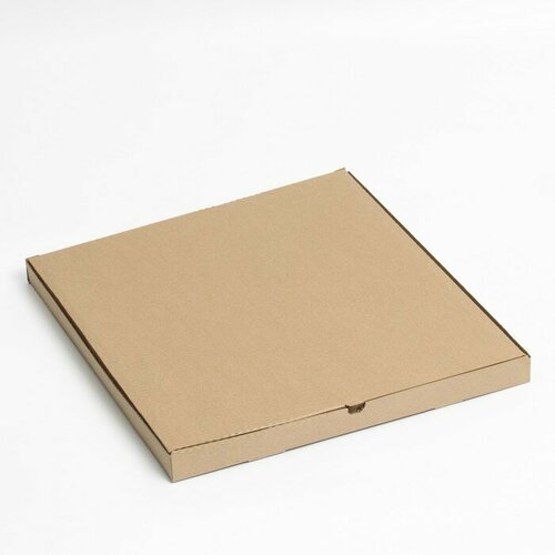 Коробка для пиццы, крафт, 50 х 50 х 4 см (10 шт)