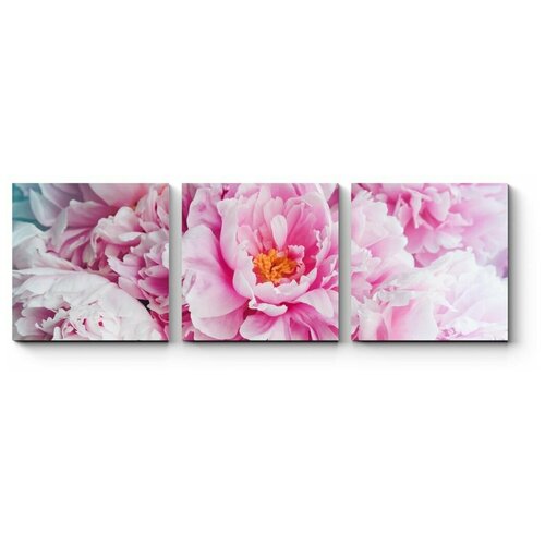 Модульная картина Нежно-розовые пионы 200x67