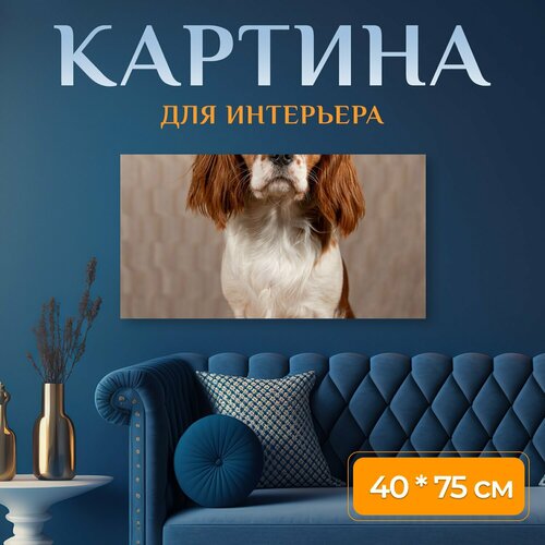 Картина на холсте "Собака, животное, домашний питомец" на подрамнике 75х40 см. для интерьера