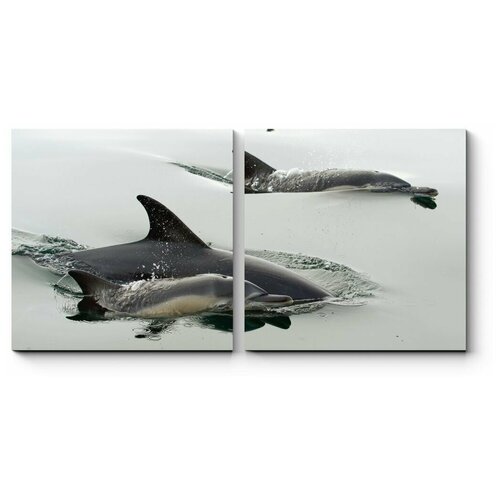 Модульная картина Счастливая семья дельфинов160x80