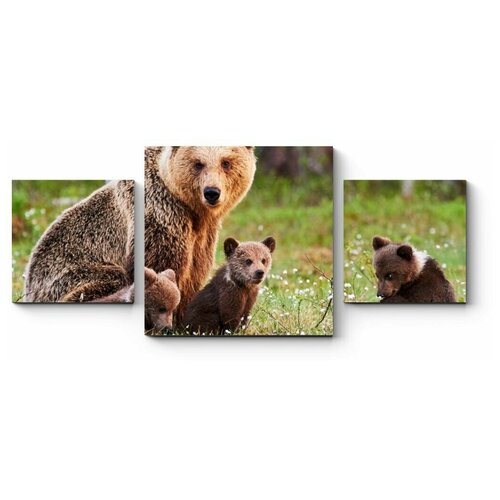 Модульная картина Семья очаровательных медведей 70x30