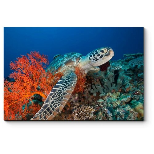 Модульная картина Морская черепаха в кораллах 30x20