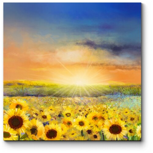 Модульная картина Подсолнуховое поле в лучах солнца 30x30