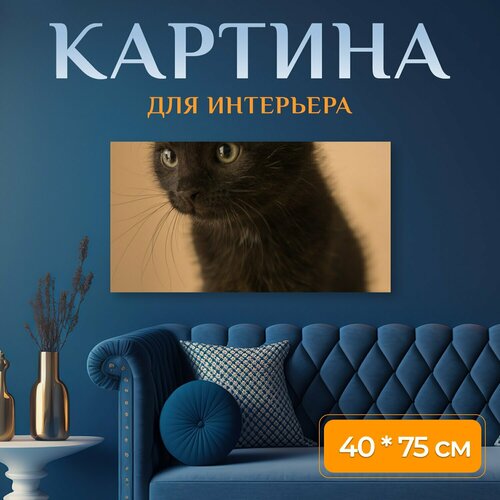 Картина на холсте "Котенок, кошка ребенок, небольшой" на подрамнике 75х40 см. для интерьера