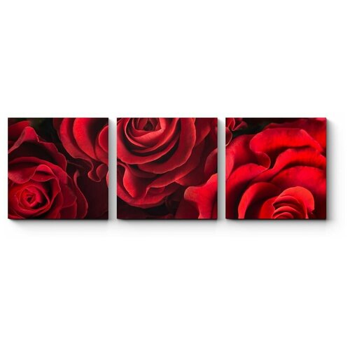 Модульная картина Бархатные розы180x60