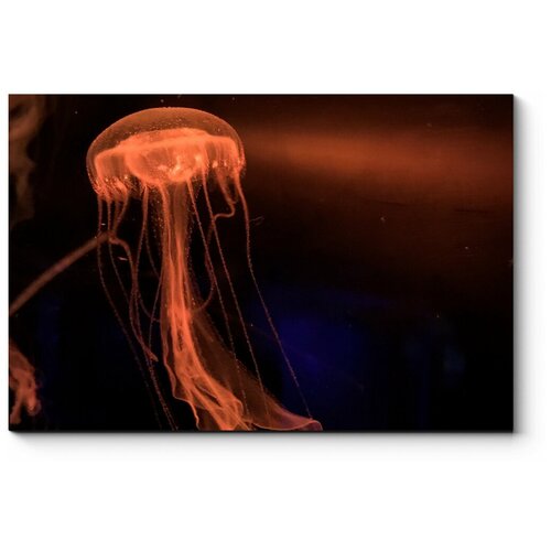 Модульная картина Красная-прекрасная медуза 80x53