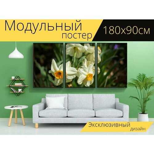 Модульный постер "Нарцисс, цветок, ятрышник" 180 x 90 см. для интерьера