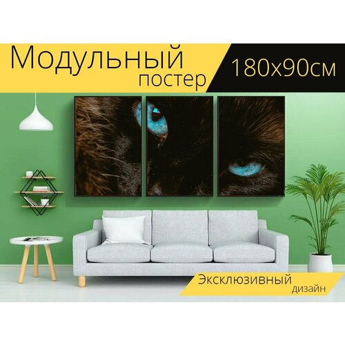 Модульный постер "Кошка, кошачий, китти" 180 x 90 см. для интерьера