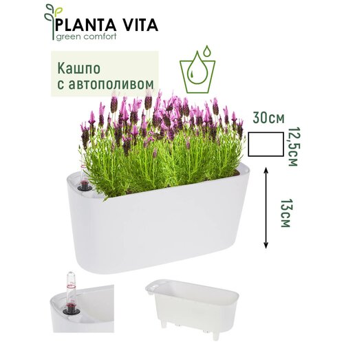 Кашпо для цветов суккулентов кактусов с автополивом пластиковое PLANTA VITA Oval Silk white горшок настольный для декора 30х12,5хH13 см