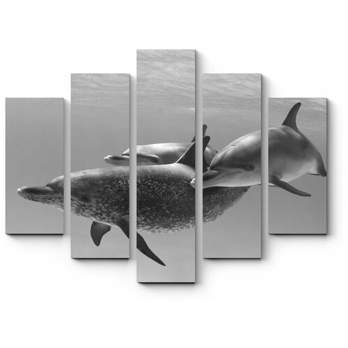 Модульная картина Трио пятнистых дельфинов75x60