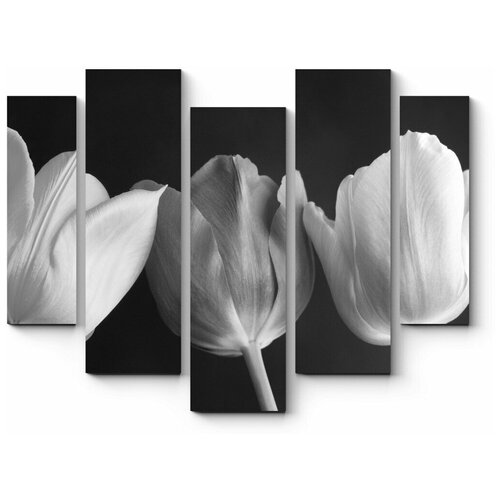 Модульная картина Монохромные тюльпаны 101x82