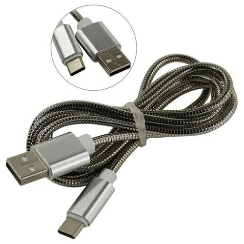Дата-кабель Smartbuy iK-3112 USB 2.0 - USB Type C, серебристый, 1,2 м