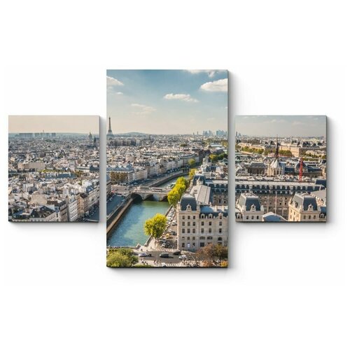 Модульная картина Пролетая над Парижем160x104