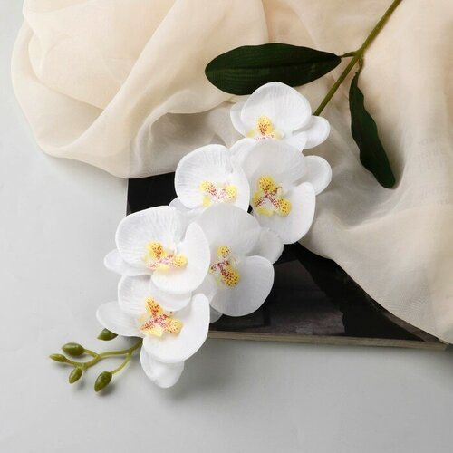 Poetry in flowers Цветы искусственные "Орхидея фаленопсис" премиум, 7х55 см, белый
