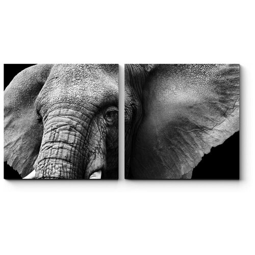 Модульная картина Портрет слона160x80