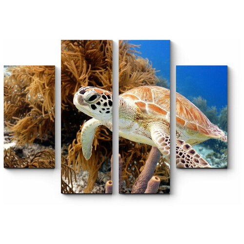 Модульная картина Черепаха, плывущая в коралловом рифе 140x105
