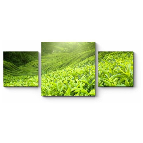 Модульная картина Бескрайняя зелень полей 160x69