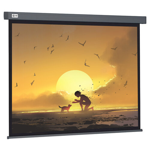 Рулонный серый экран cactus Wallscreen CS-PSW-124x221, 103", серый