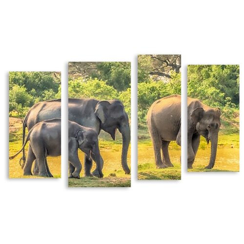 Модульная картина на холсте "Слоны" 120x76 см