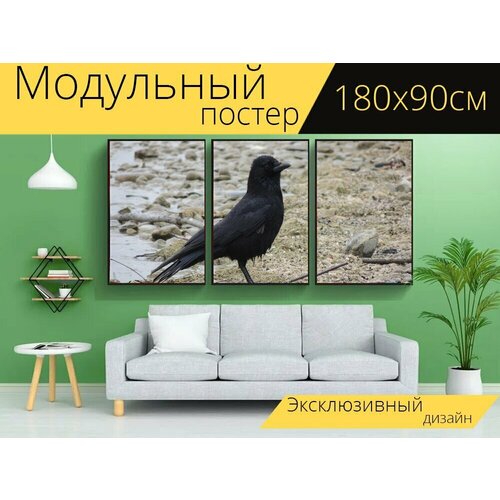 Модульный постер "Ворона, чернить, пляж" 180 x 90 см. для интерьера