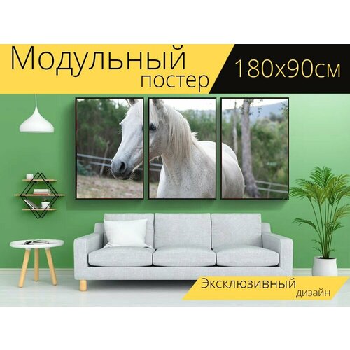 Модульный постер "Австралийский пони, лошадь, животное" 180 x 90 см. для интерьера