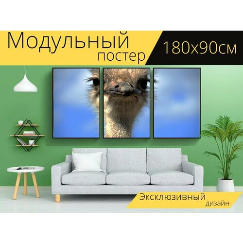 Модульный постер "Страус, страусиная голова, клюв" 180 x 90 см. для интерьера