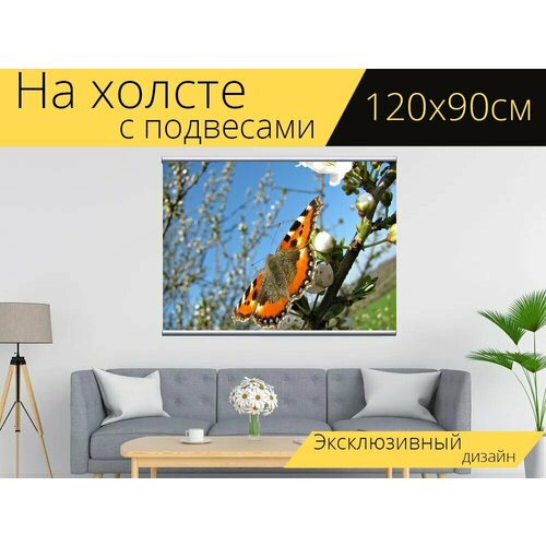 Картина на холсте "Бабочка, насекомое, насекомые" с подвесами 120х90 см. для интерьера