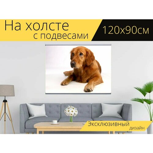 Картина на холсте "Золотистый ретривер, собака, лояльный к" с подвесами 120х90 см. для интерьера