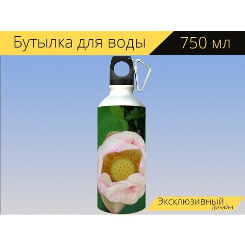 Бутылка фляга для воды "Цветок, лотос, буддизм" 750 мл. с карабином и принтом